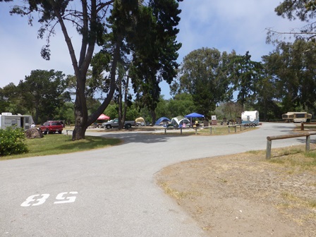 Oceano Campground Pismo State Beach California Womo Abenteuer